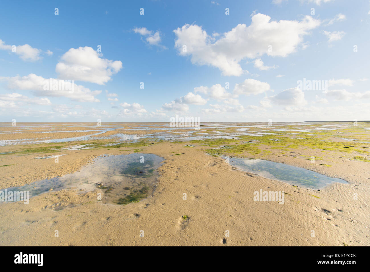 Mudflat dry hi-res stock photography and images - Alamy