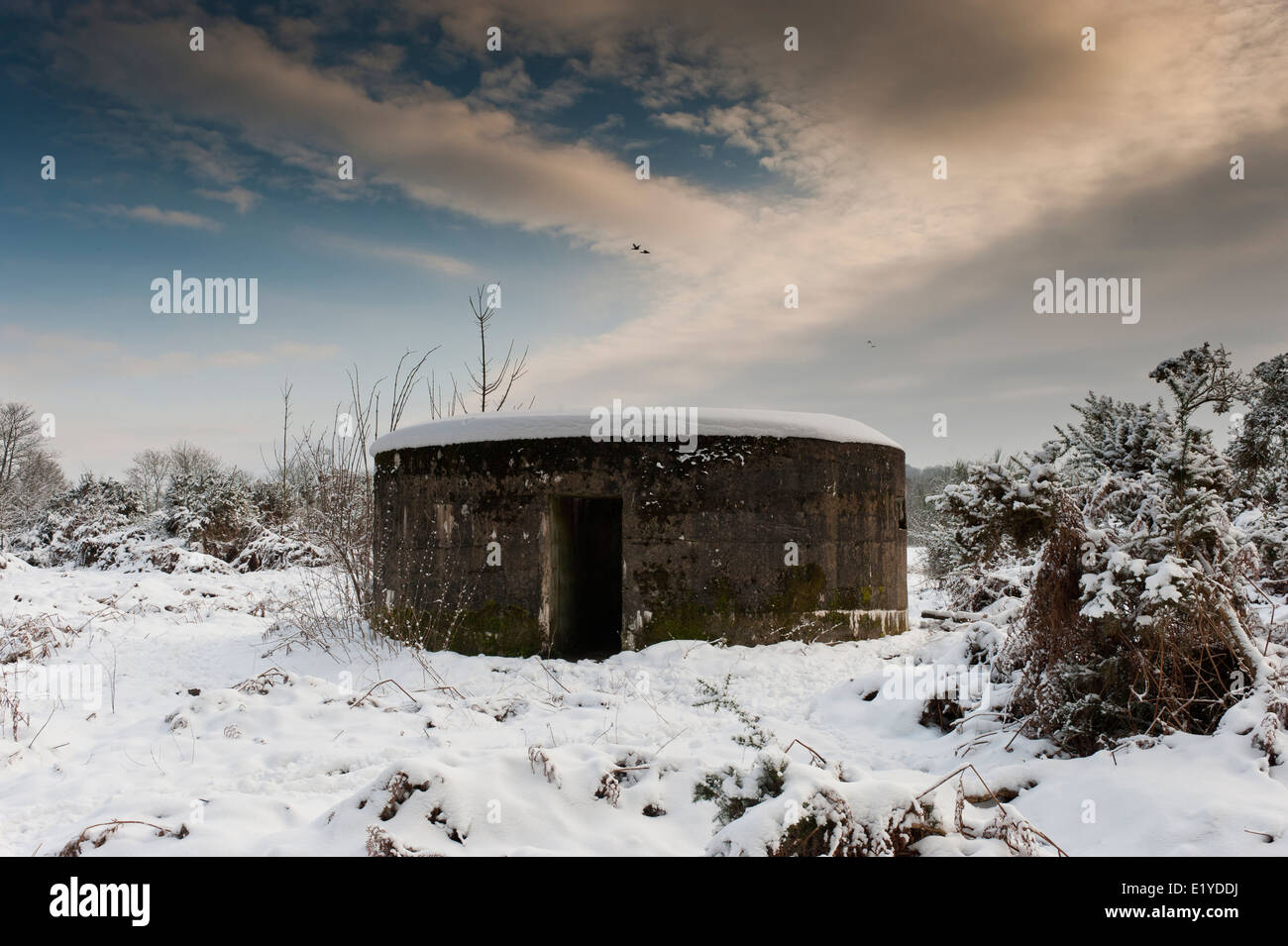 World war 2 bunker hi-res stock photography and images - Alamy