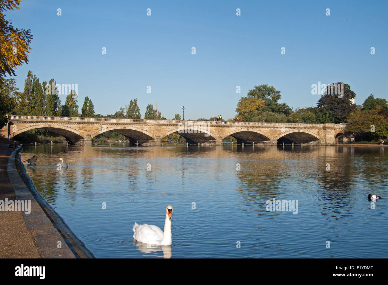 The Serpentine River, Hyde Park London Stock Photos & The Serpentine ...