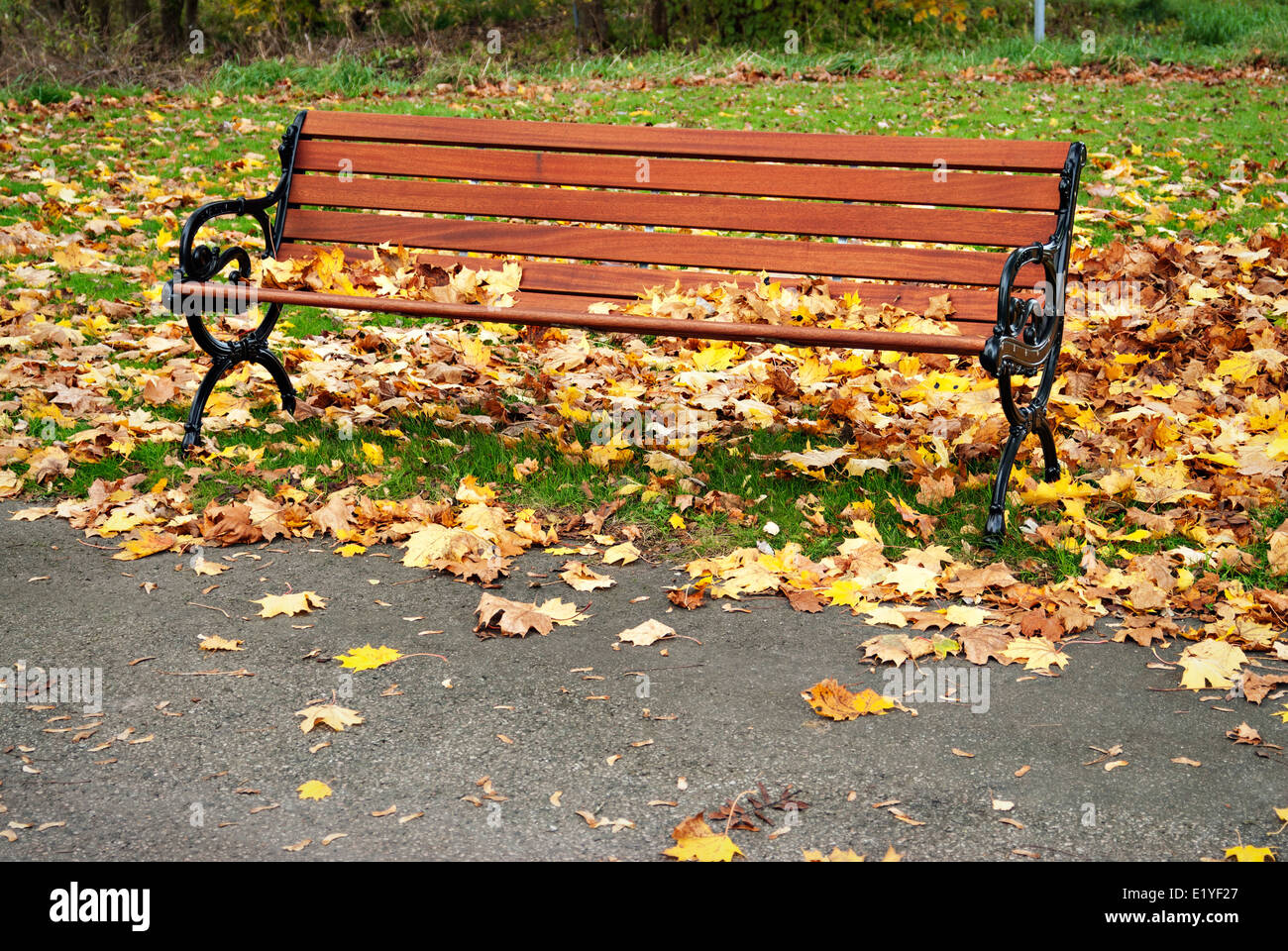 Bench surrounded by autumn leaves Stock Photo - Alamy