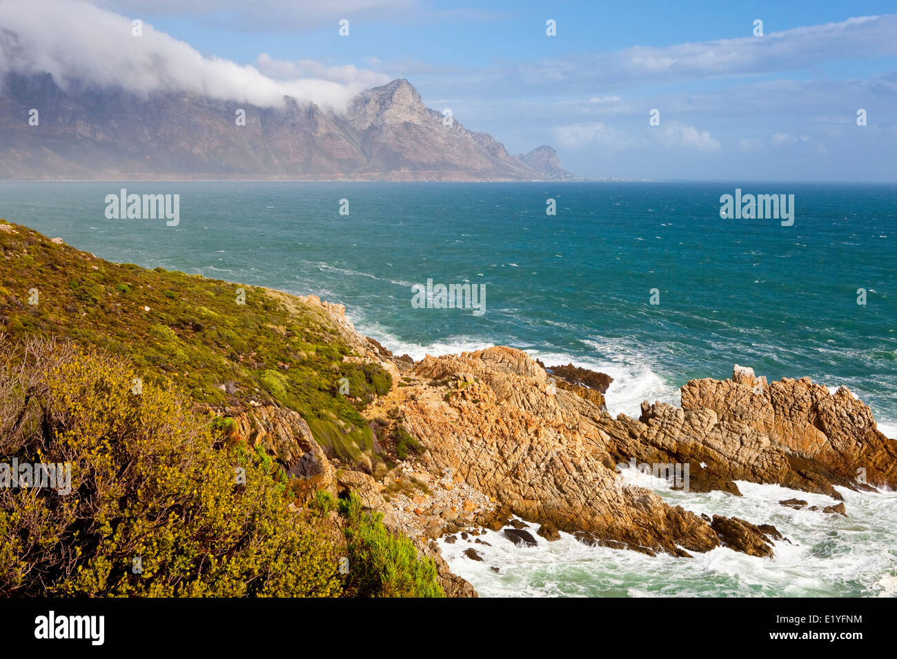 Kogelberg reserve hi-res stock photography and images - Alamy