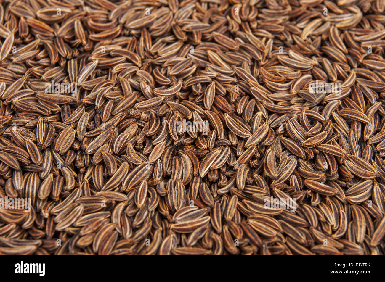 Dried cumin seeds Stock Photo - Alamy