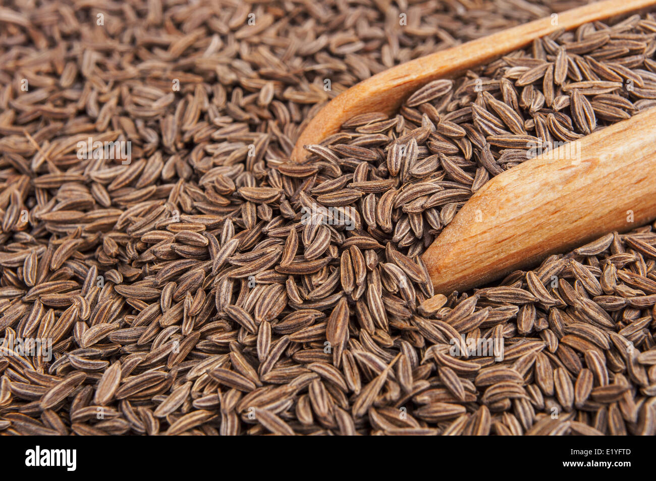Cumin seeds macro and wooden spoon as background Stock Photo - Alamy