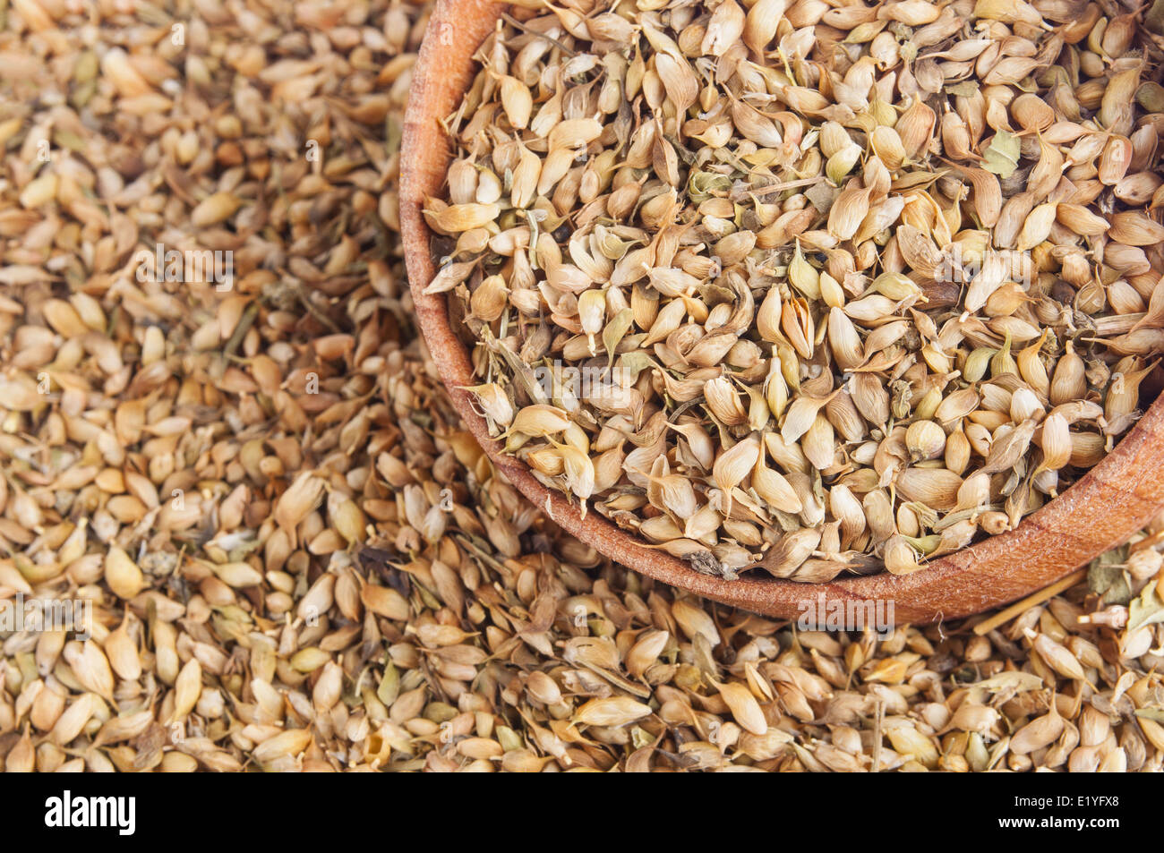 utsho suneli seeds background Stock Photo - Alamy
