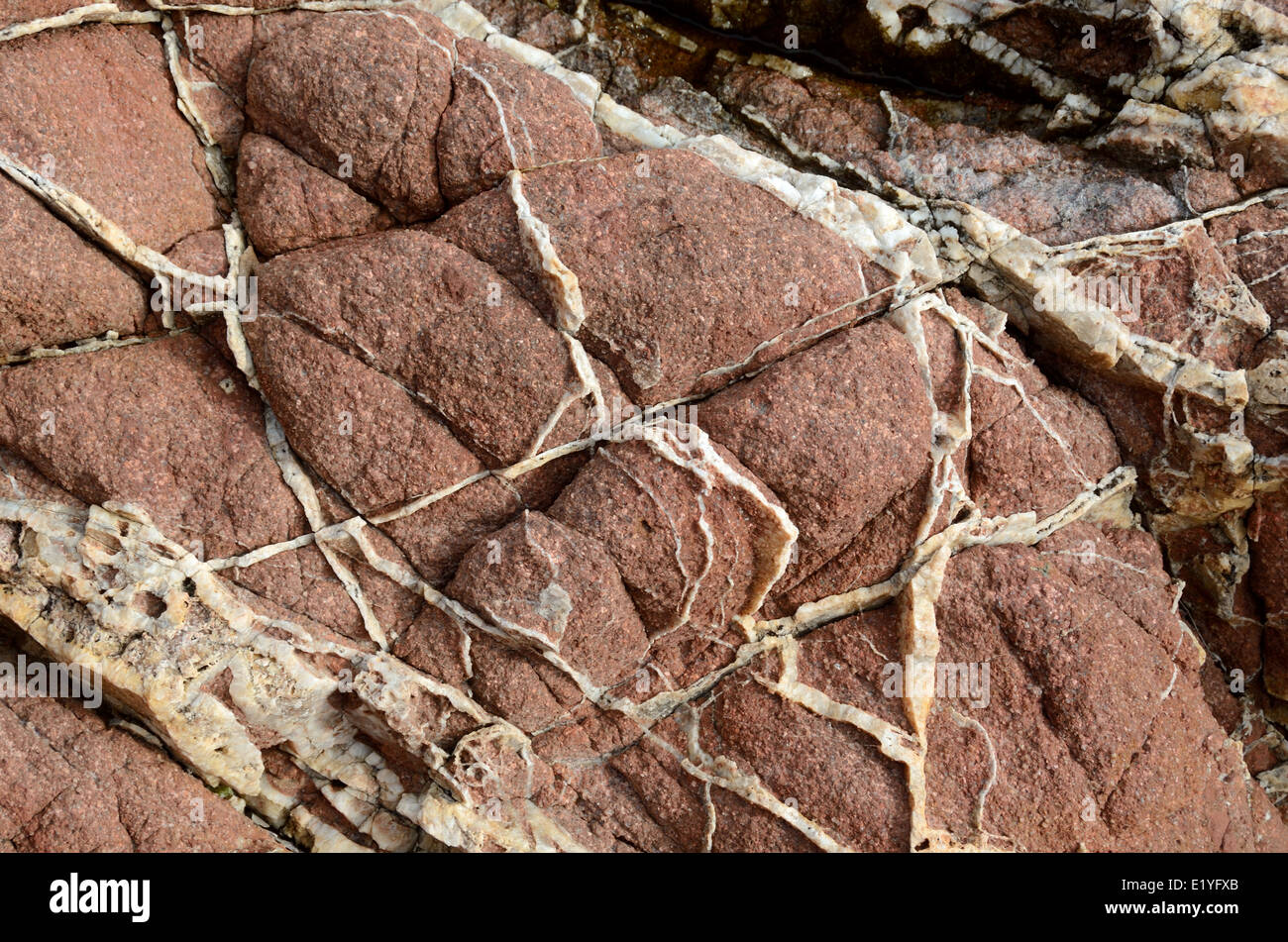 Quartz Veins in Rhyolite Volcanic Rock or Porphyry Granite Cap Dramont ...