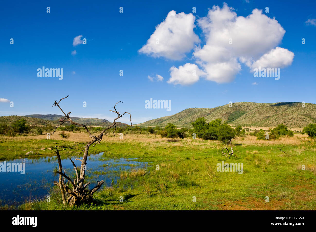 Mankwe Dam, Pilanesberg Park, South Africa Stock Photo - Alamy