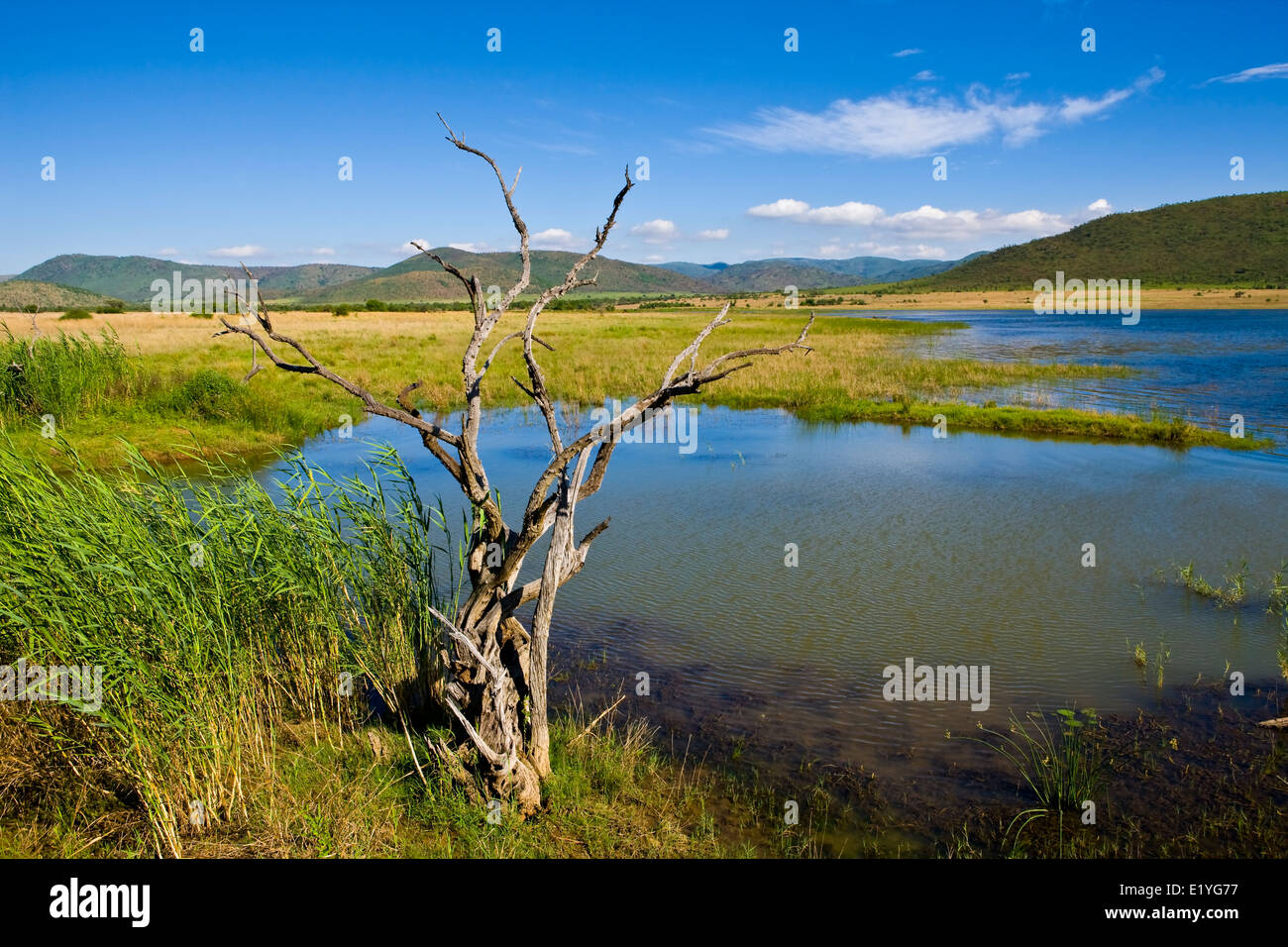 Mankwe Dam, Pilanesberg Park, South Africa Stock Photo - Alamy