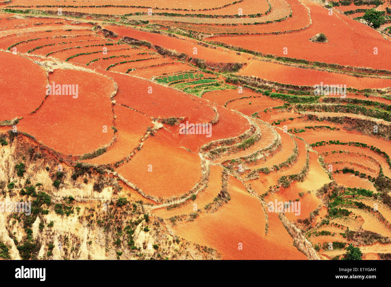 Red field in Dongchuan district, Kunming city, Yunnan province, China ...