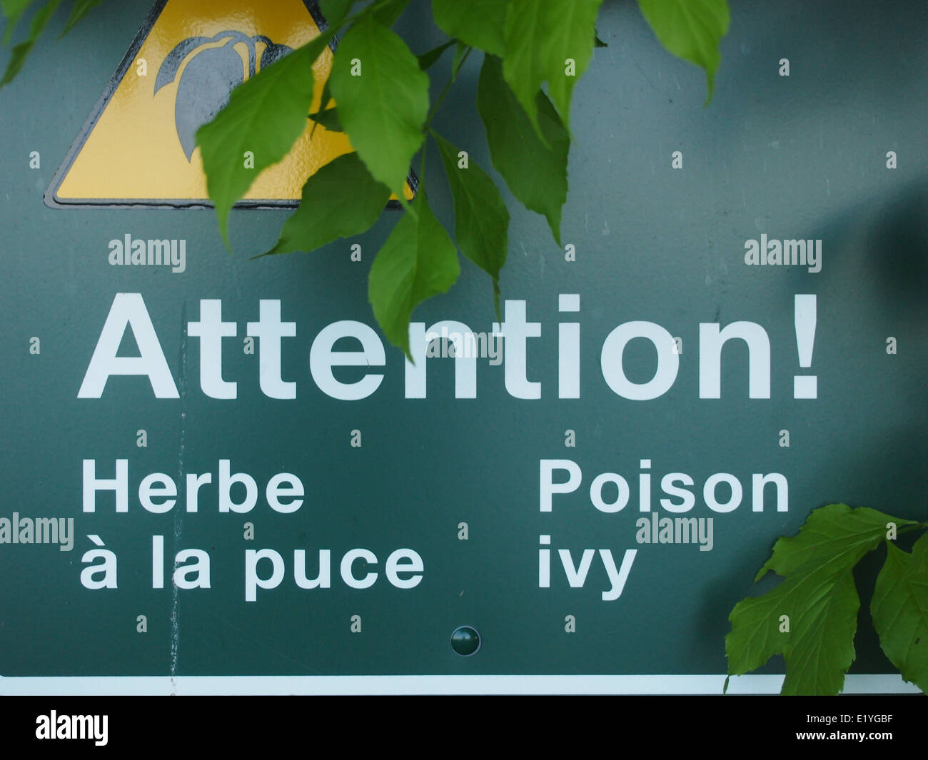 Poison Ivy Warning sign Stock Photo - Alamy
