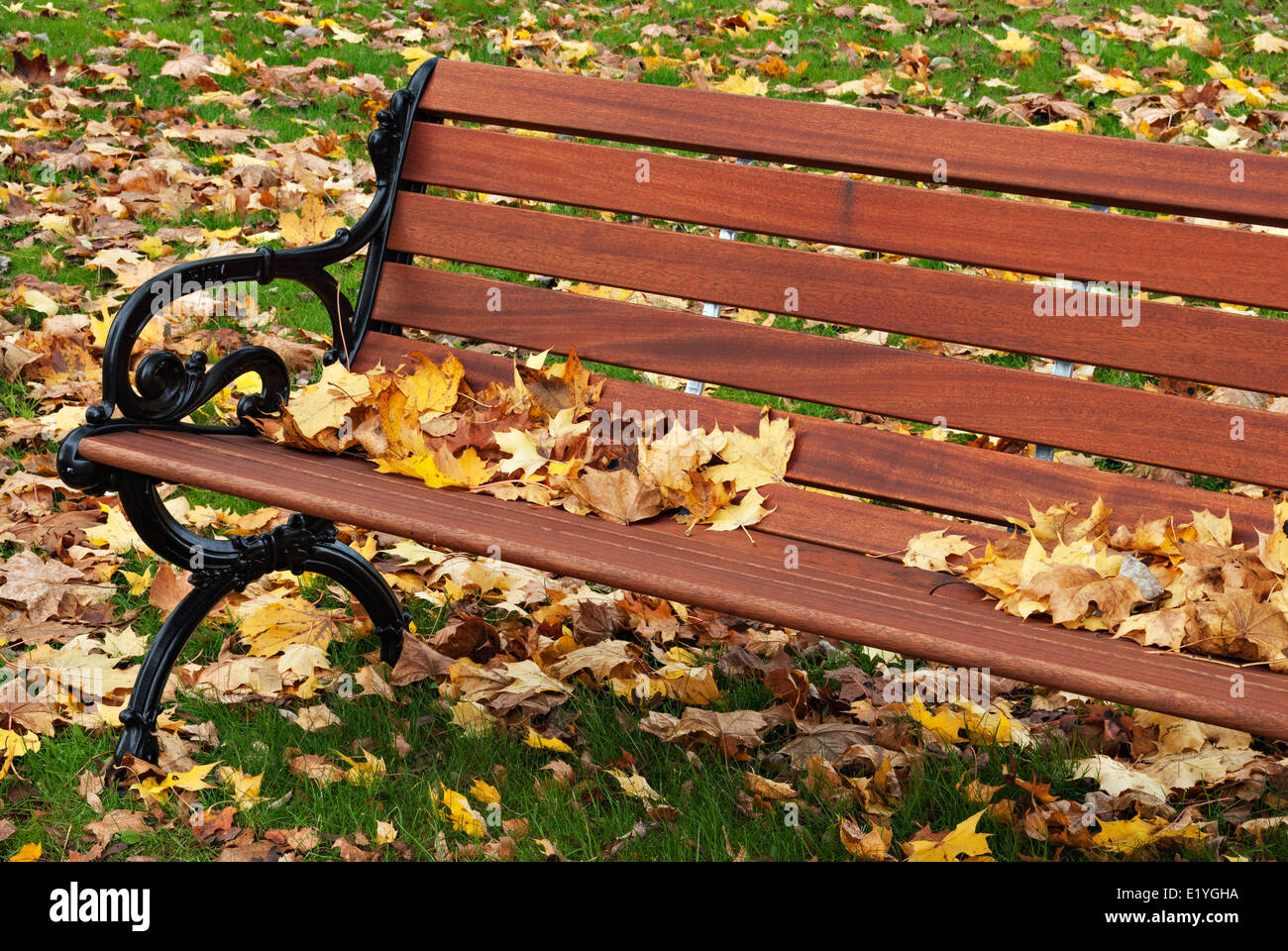 Bench surrounded by autumn leaves Stock Photo - Alamy