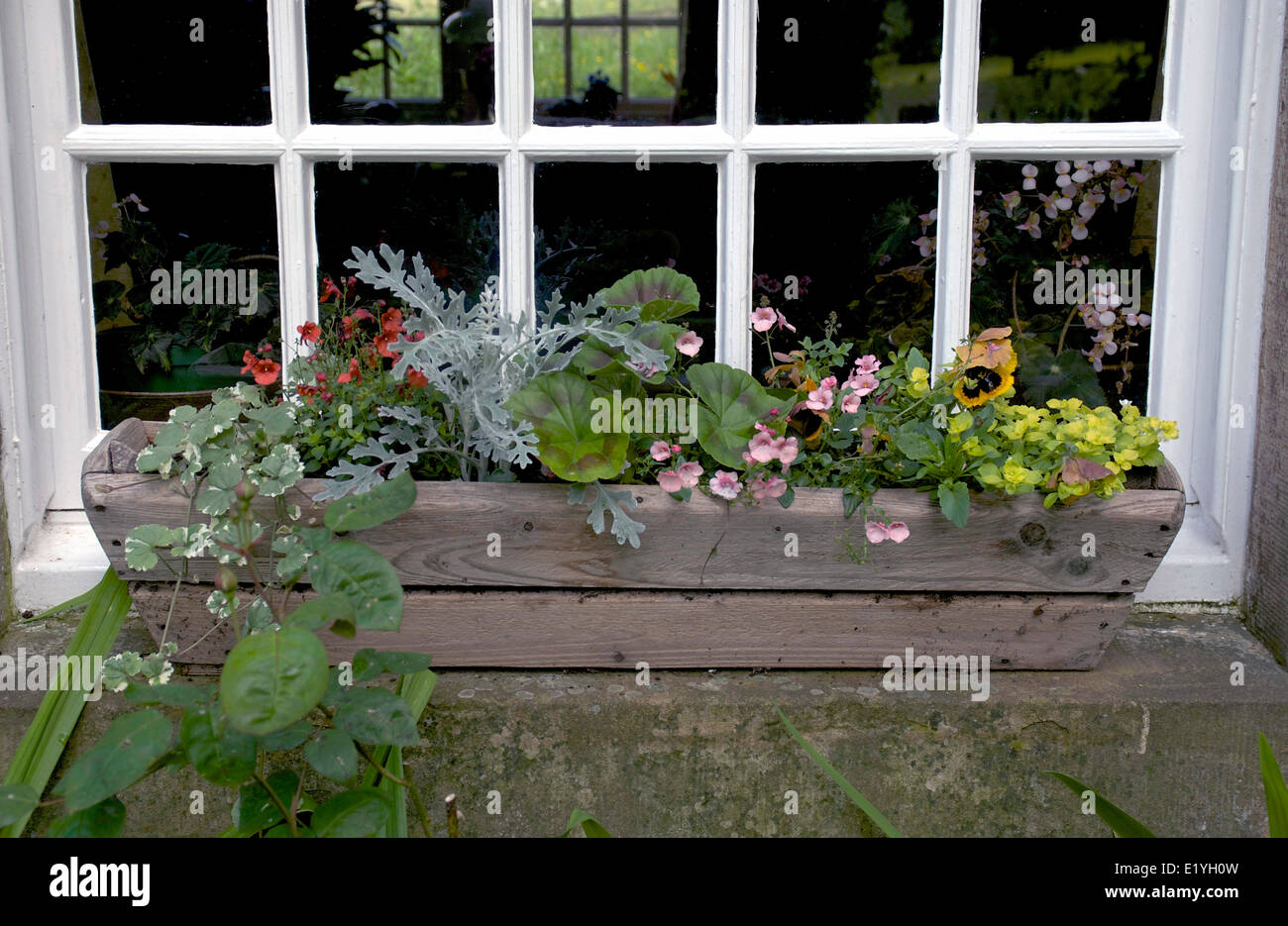 Window box, traditional stone cottage, Peak District Stock Photo - Alamy