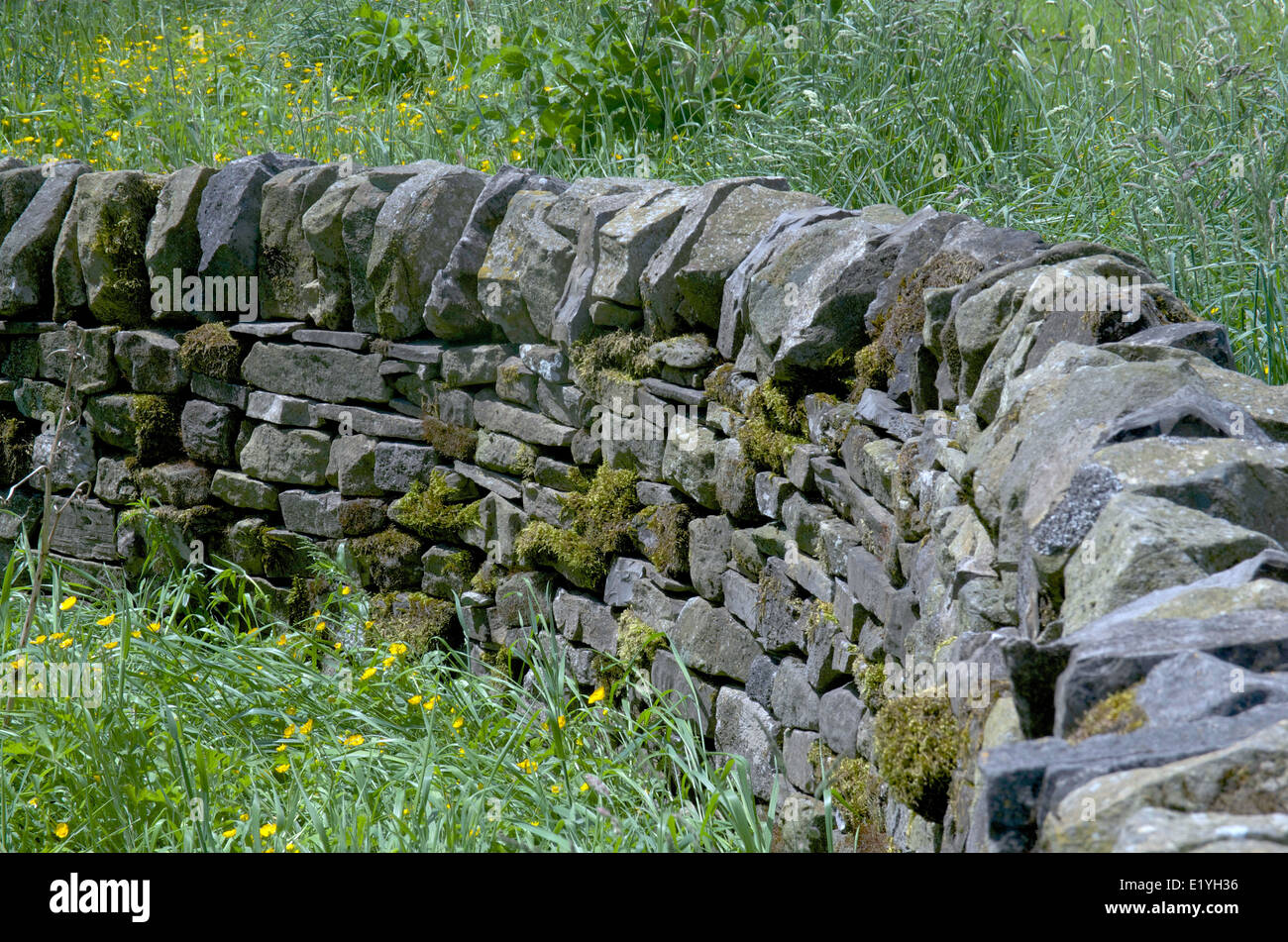 Curved dry stone wall, Peak District National Park Stock Photo - Alamy