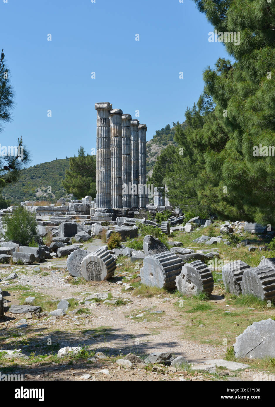 Ionian temple hi-res stock photography and images - Alamy