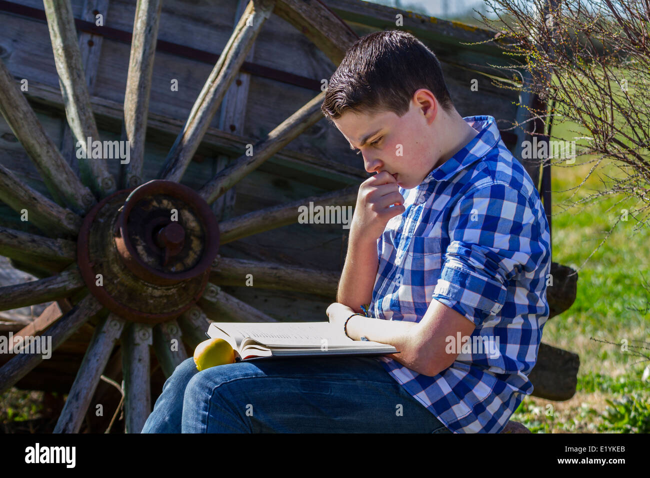 Rural.Young man reading a book in outdoor with yellow apple. Rural ...