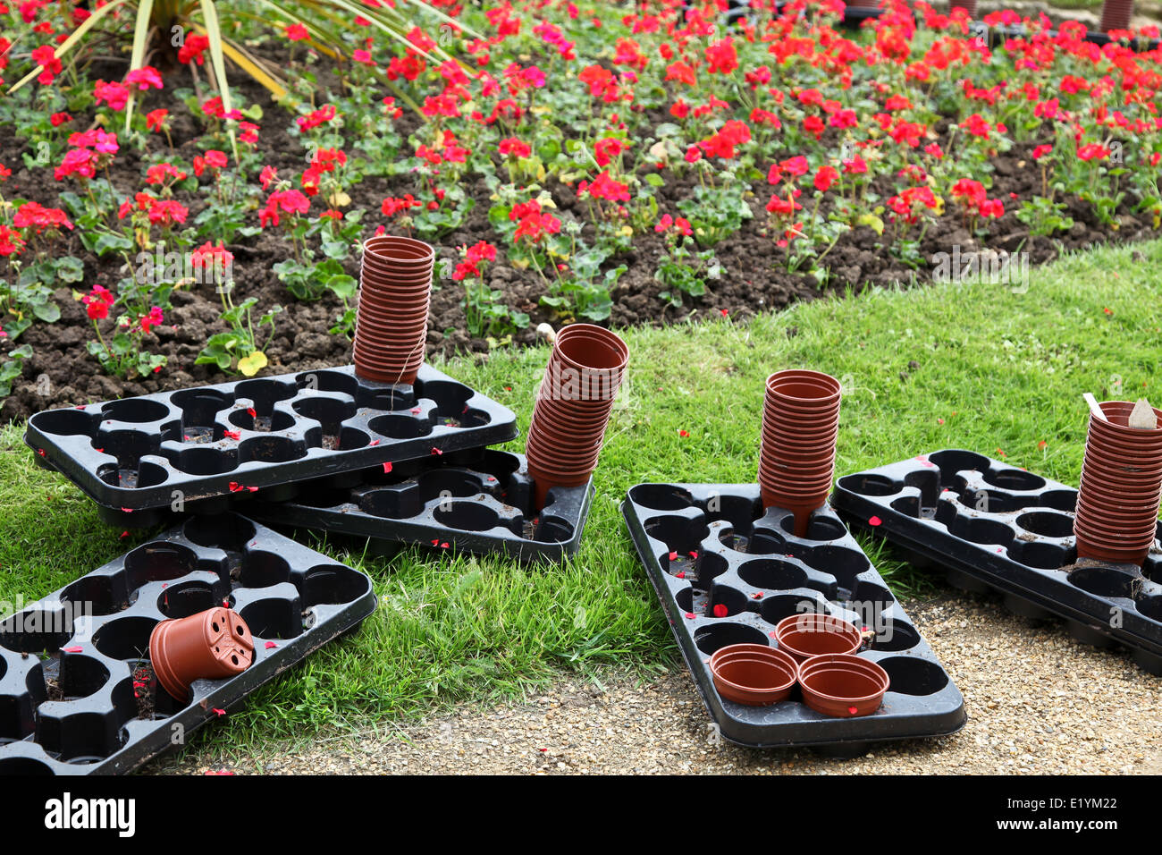 Municipal planting hi-res stock photography and images - Alamy