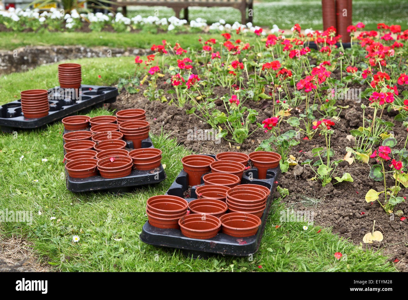 Bedding plant display planting hi-res stock photography and images - Alamy