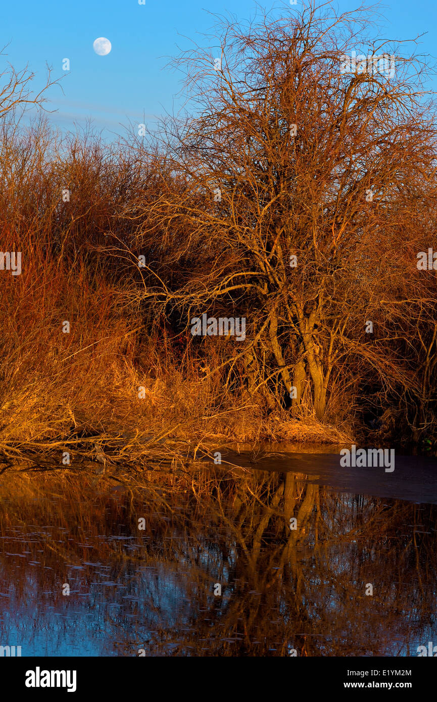 Canadian spring landscape hi-res stock photography and images - Alamy