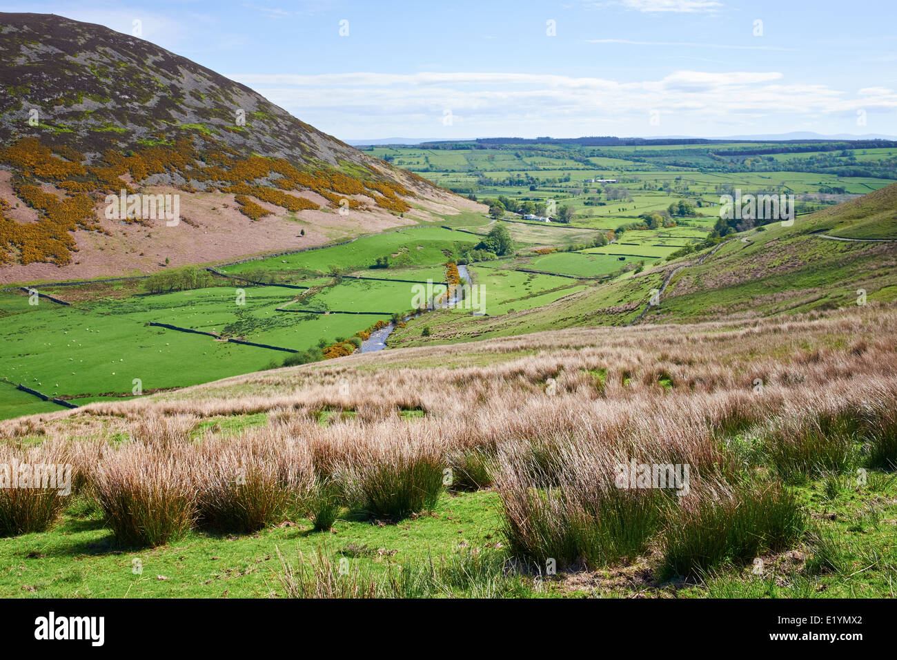 Mosedale Valley in the English Lake District, UK Stock Photo - Alamy