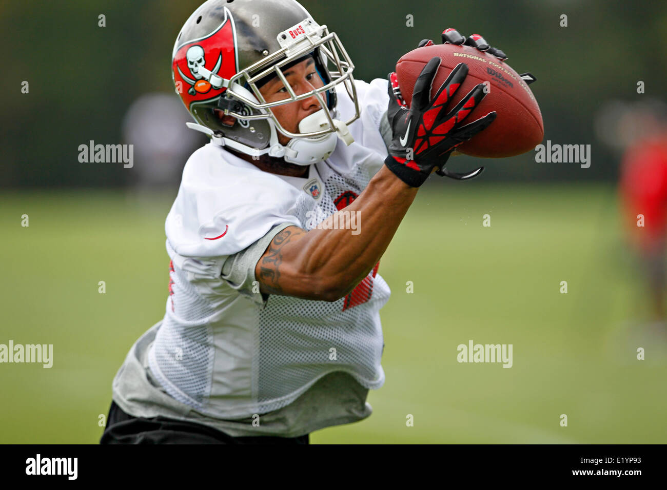 June 11, 2014 - Tampa, Florida, U.S. - DANIEL WALLACE | Times.Wide ...