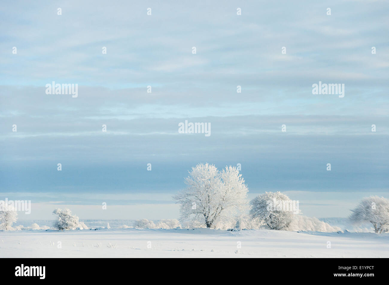 Winter landscape in Sweden Stock Photo - Alamy