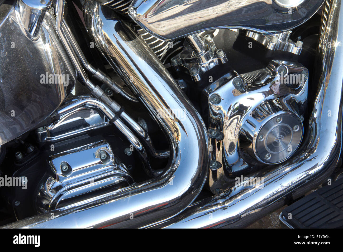 Pride of ownership is reflected in the many beautiful bikes on display at the annual DeLand Bike ...