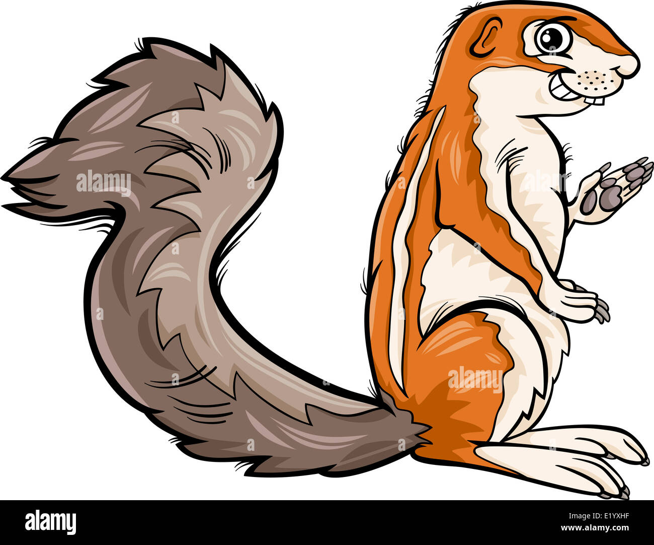 Squirrel fantasy art hi-res stock photography and images - Alamy