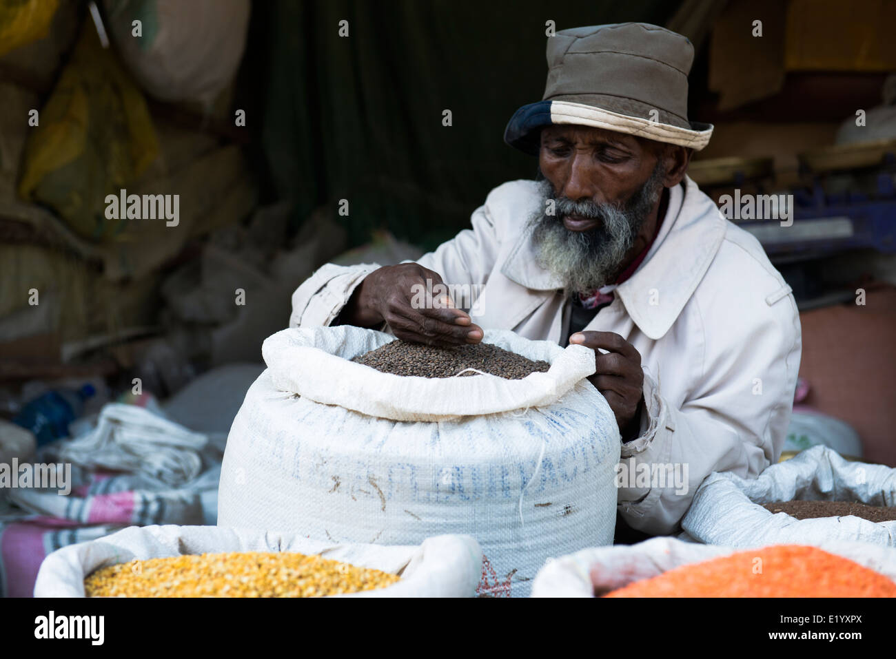 Checking the Teff grains Stock Photo - Alamy
