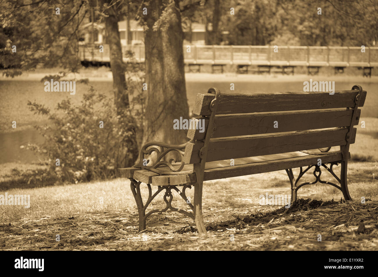 Lonely bench awaiting someone to sit Stock Photo - Alamy