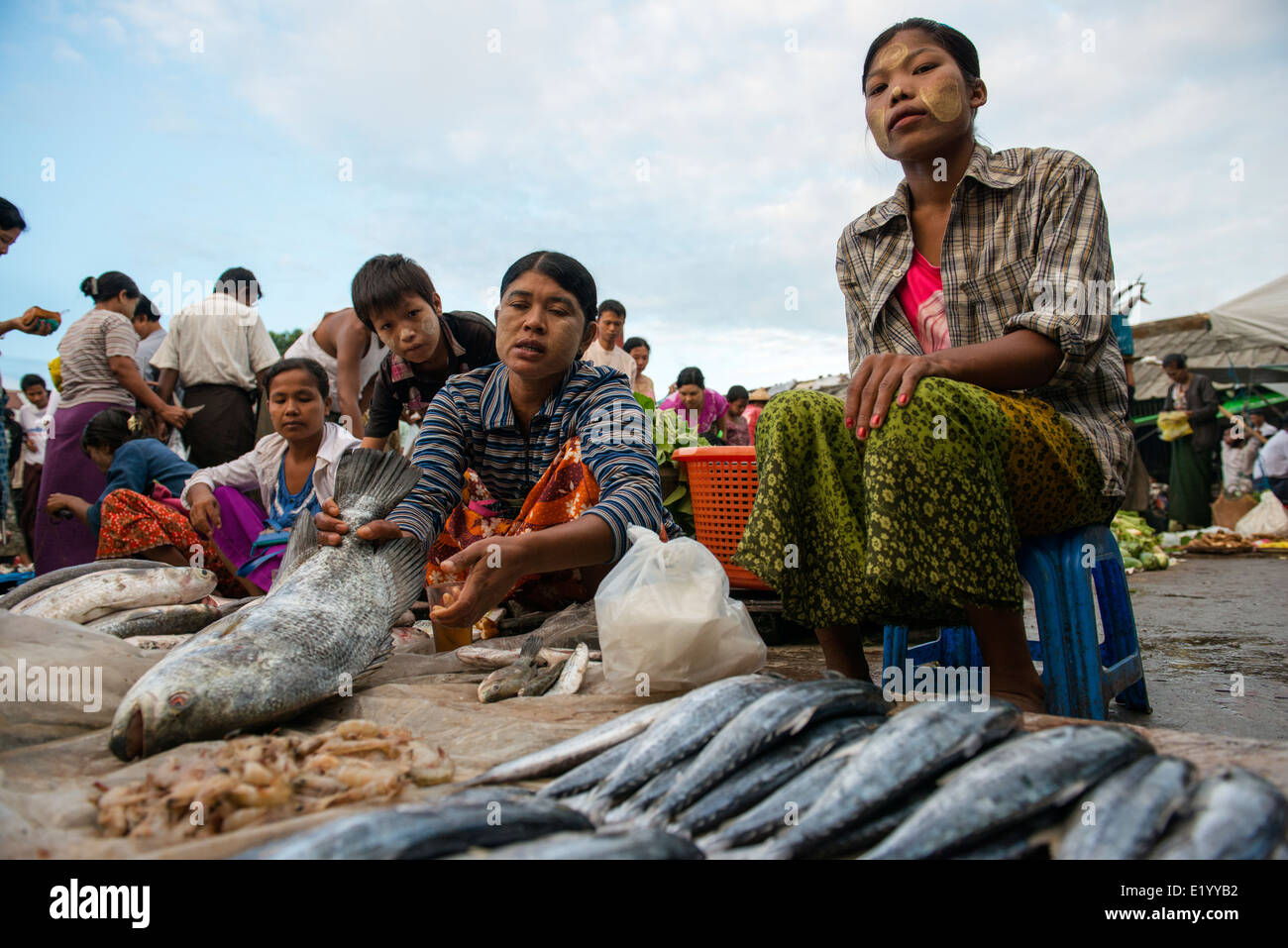 The vibrant fish market in SIttwe, Rakhine state Stock Photo - Alamy