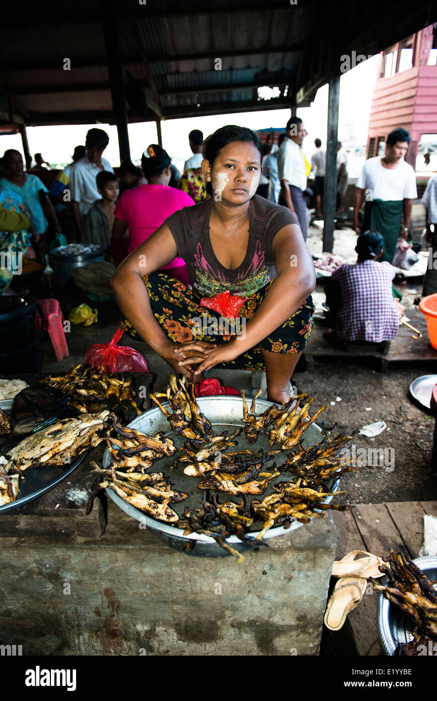 The vibrant fish market in SIttwe, Rakhine state Stock Photo - Alamy
