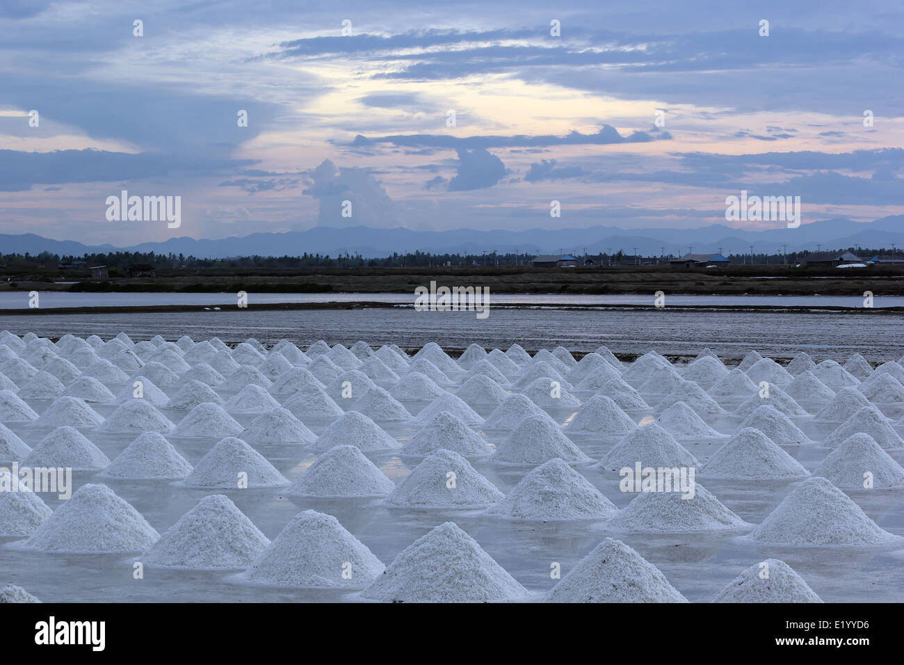 Tropical field night hi-res stock photography and images - Alamy