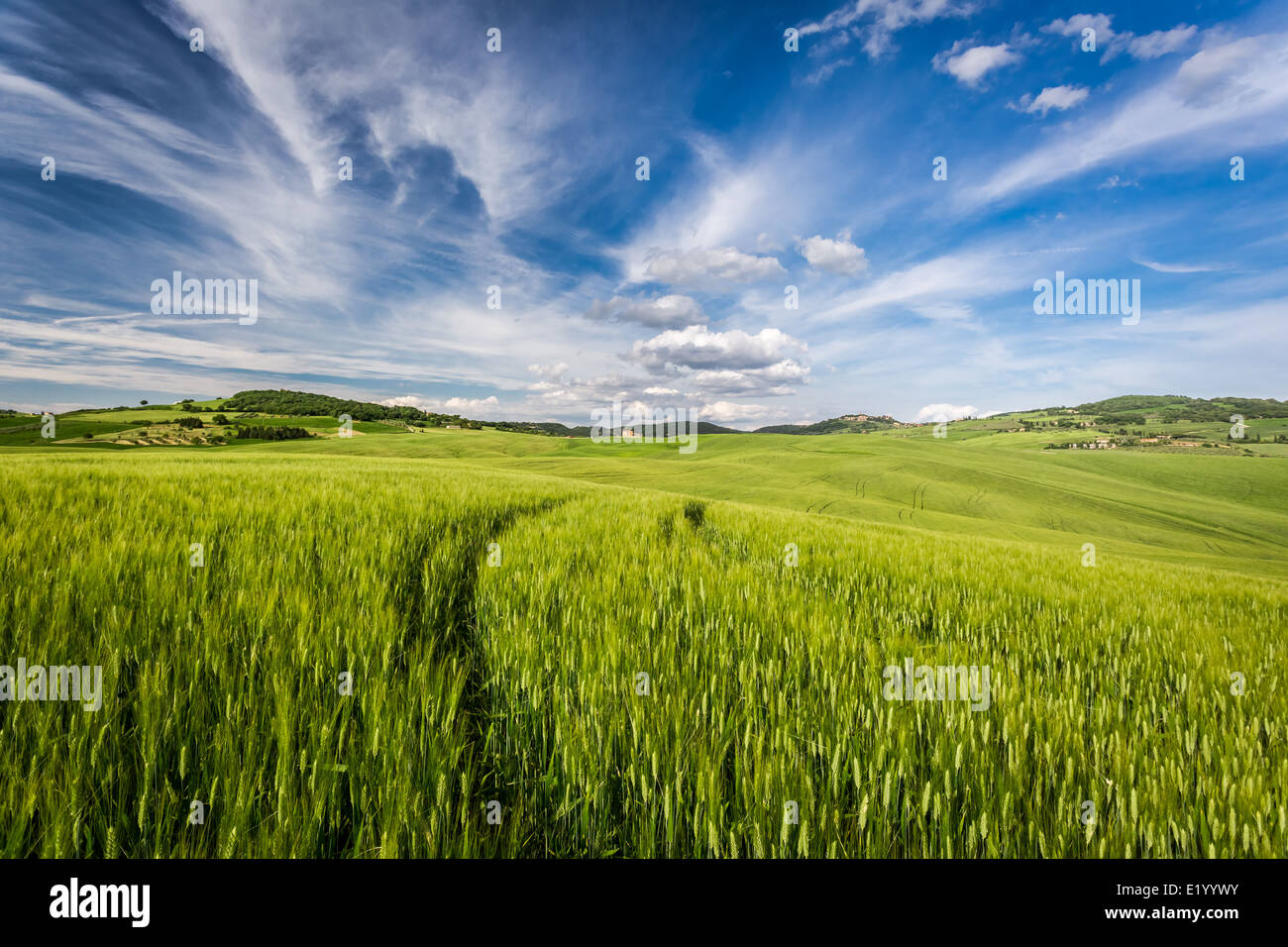 Beautiful view of the tortuous path at sunset in Tuscany Stock Photo ...