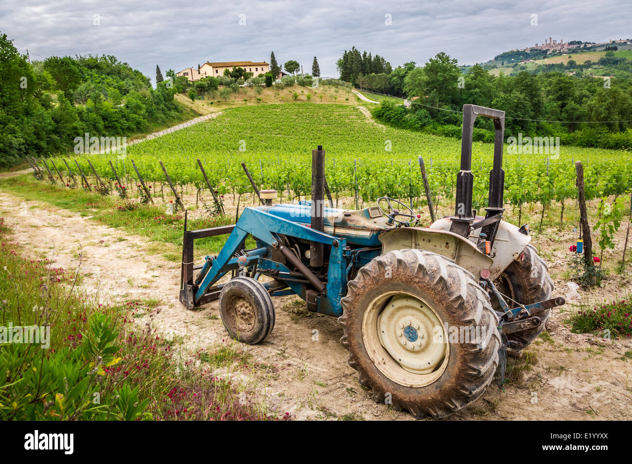 Old tractor in vineyard hi-res stock photography and images - Alamy