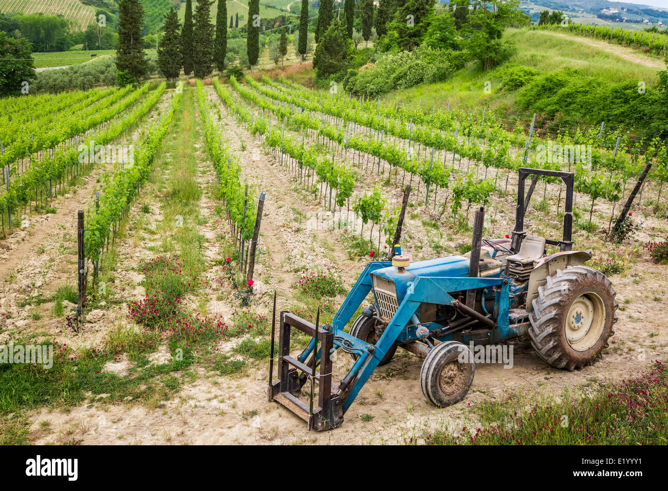 Vineyard tractor on country hi-res stock photography and images - Alamy