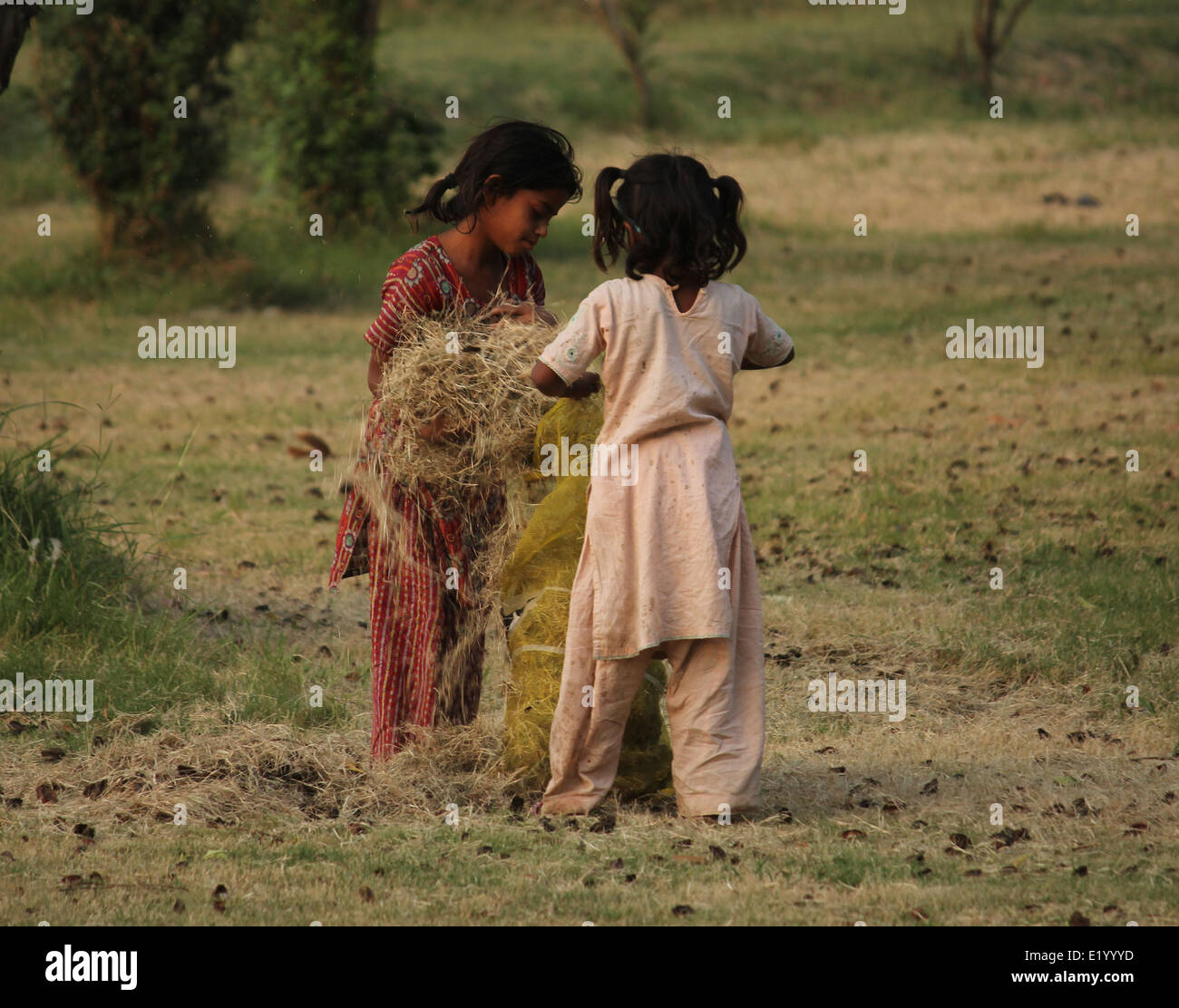 Lahore, Pakistan. 11th June, 2014. Pakistani child busy in their works ...