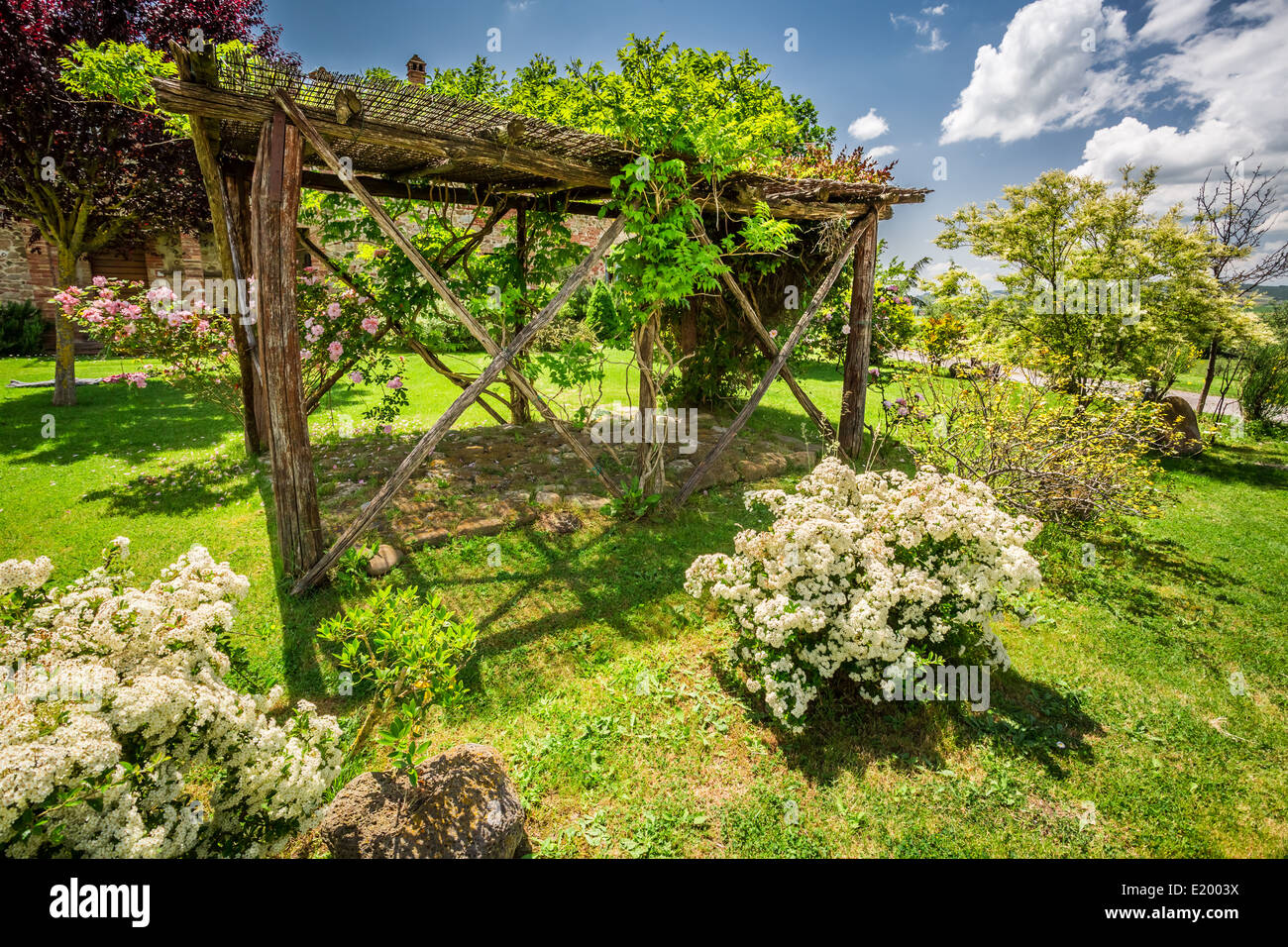 Pergola italy tuscany hi-res stock photography and images - Alamy