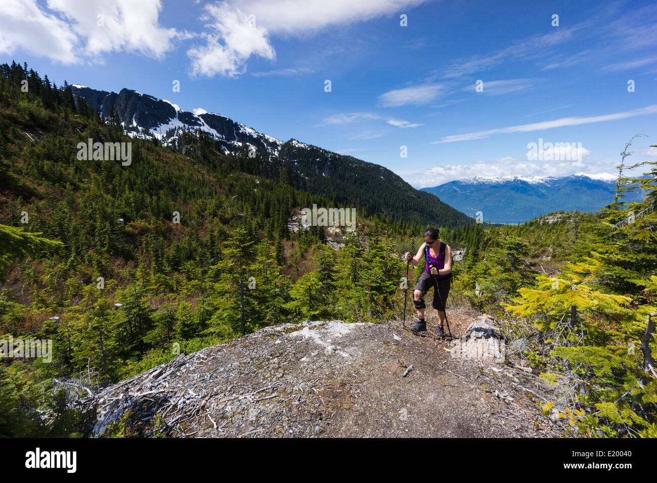 Skyling Ridge hiking trail. Sea to Sky Gondola, Squamish, British ...