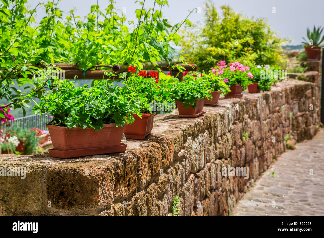Old stone wall with flowers Stock Photo - Alamy