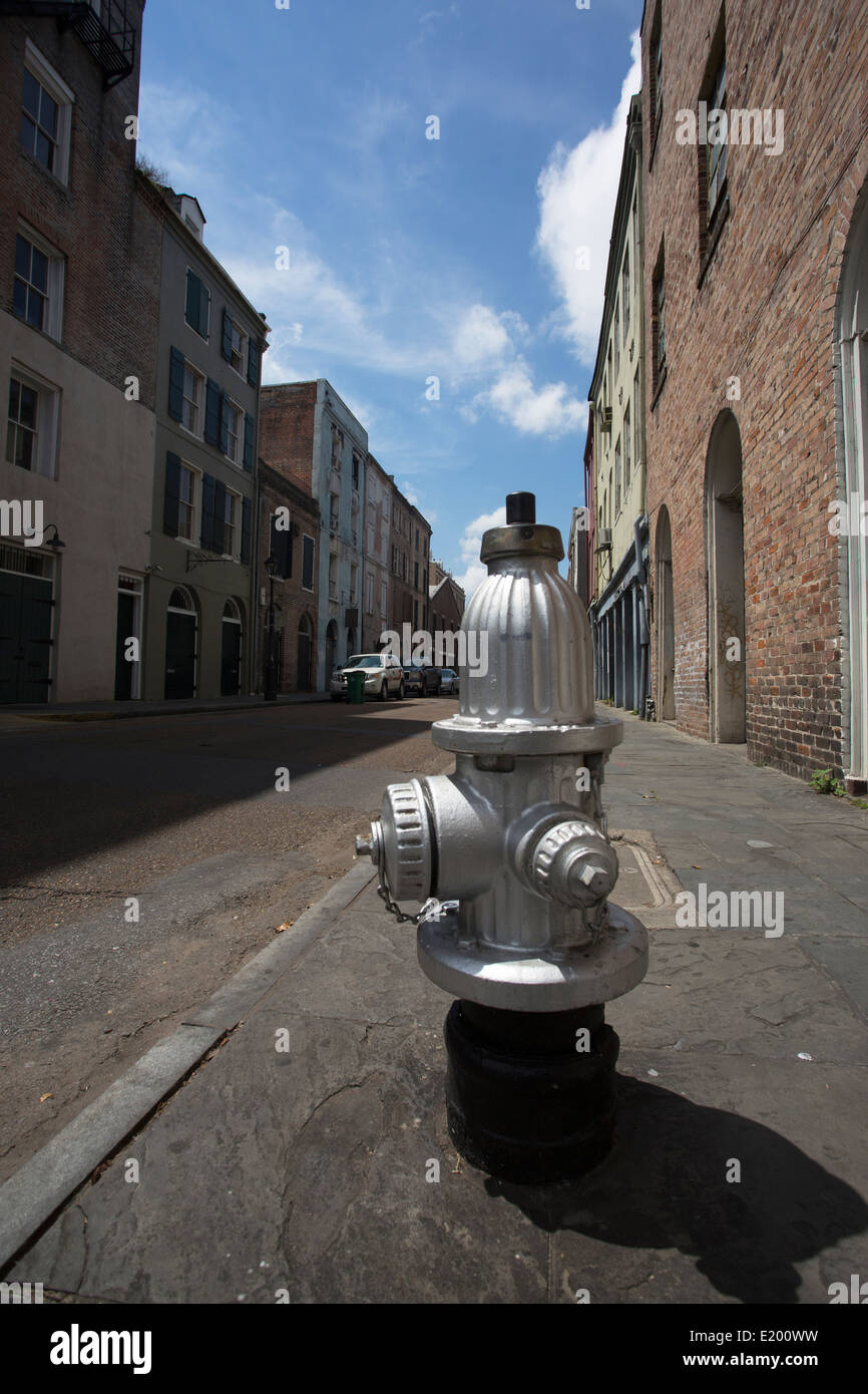 A wide angle view of a silver fire hydrant against the background of a ...