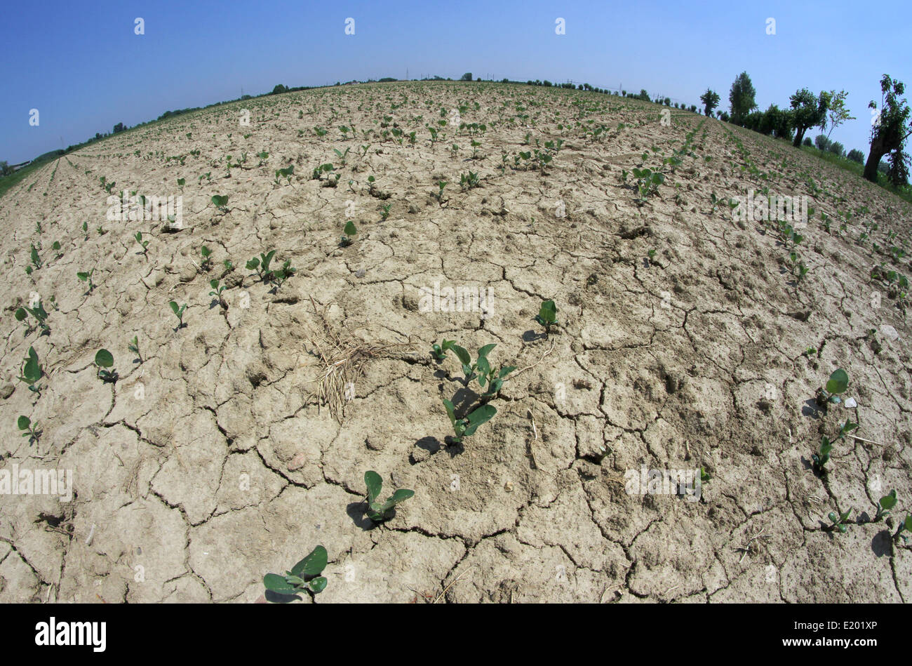 Arid soil hi-res stock photography and images - Alamy