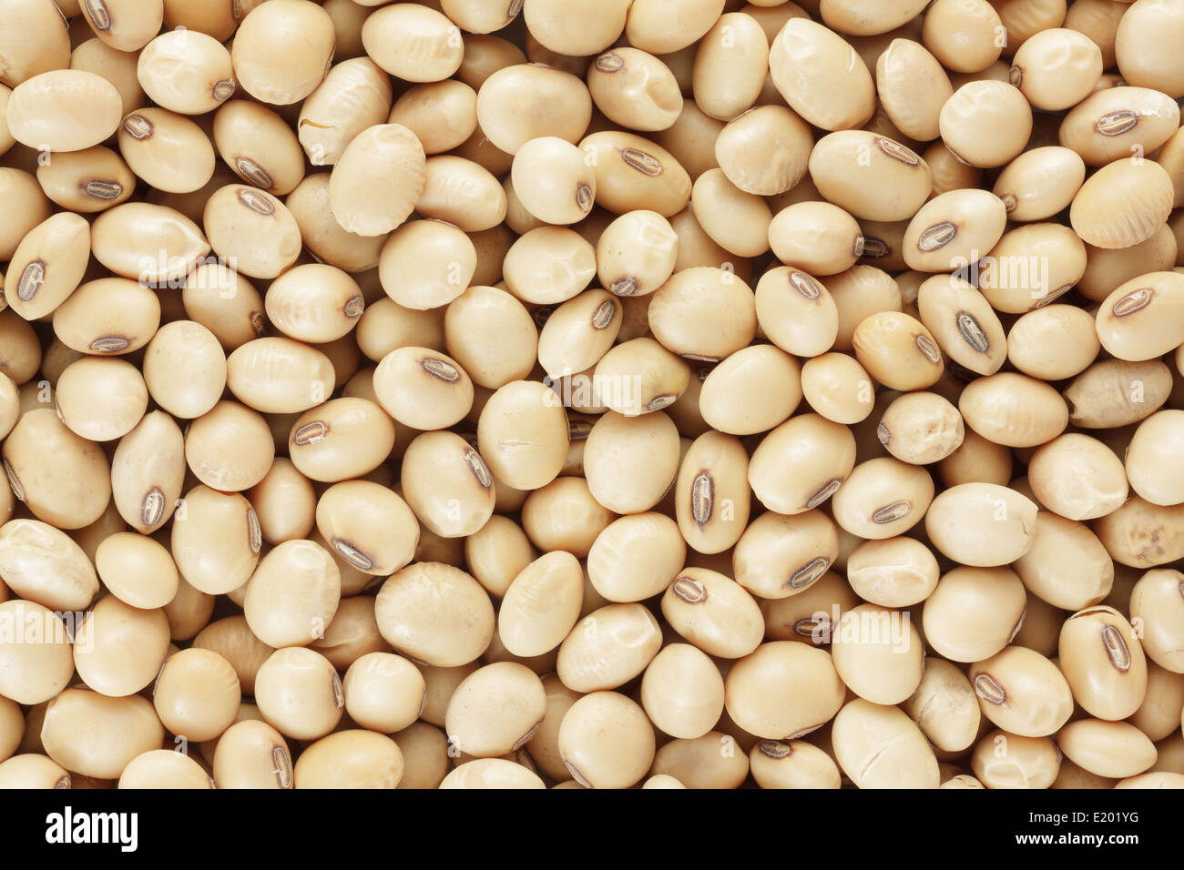 Closeup texture soybean as background Stock Photo - Alamy