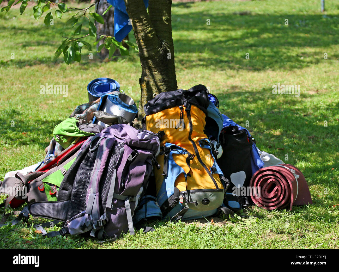 backpacks of Boy Scouts around the tree during an excursion in the ...