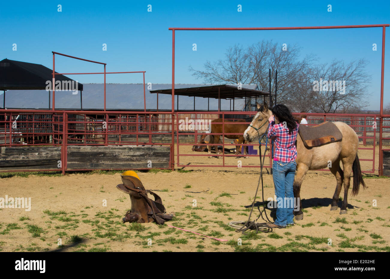 Dallas Texas Tate Ranch young cowgirls training 2 year old horses to ...