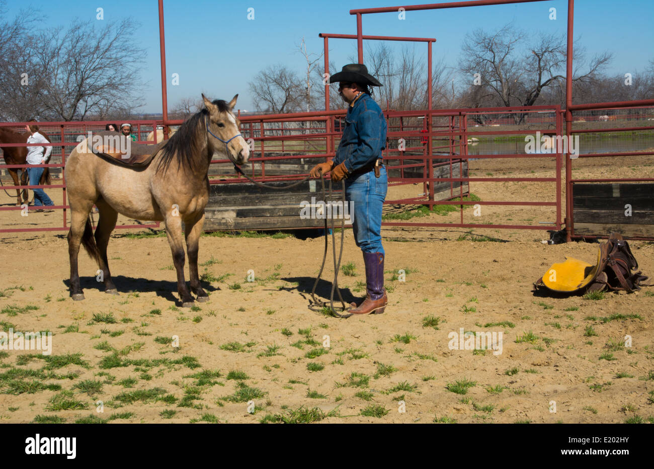 Texas cowboy saddle hi-res stock photography and images - Alamy