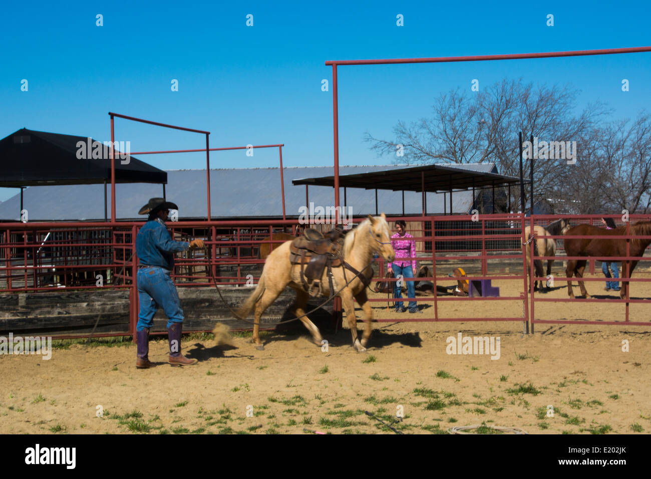 Texas cowboy saddle hi-res stock photography and images - Alamy
