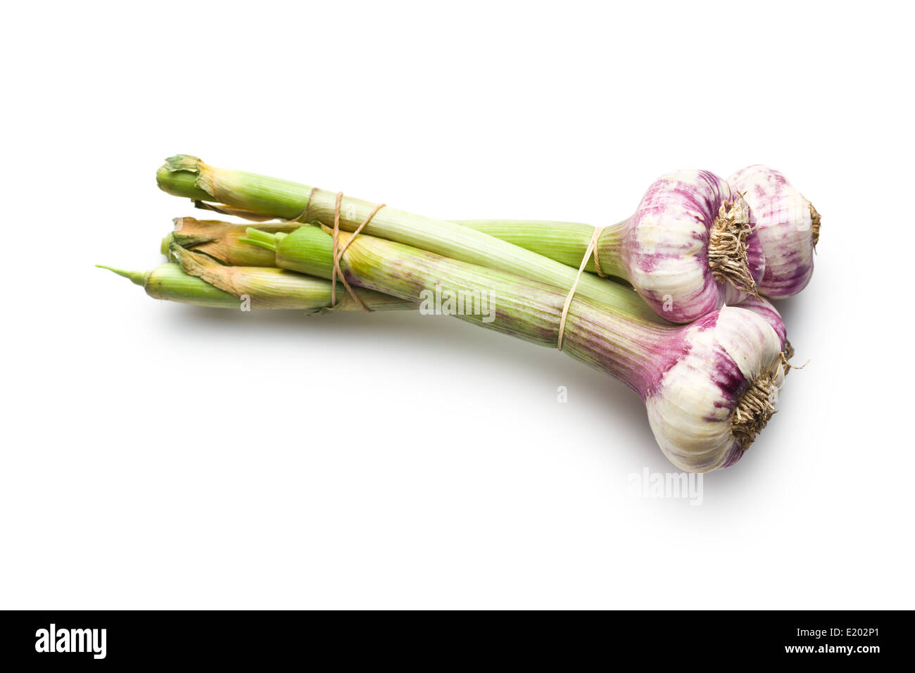 fresh garlic on white background Stock Photo - Alamy