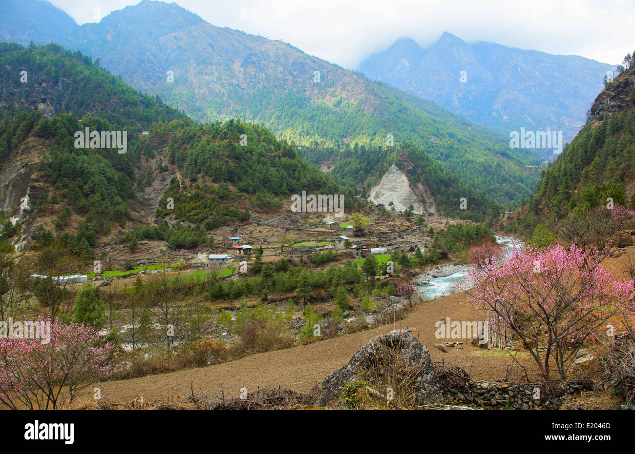 Himalaya country hi-res stock photography and images - Alamy