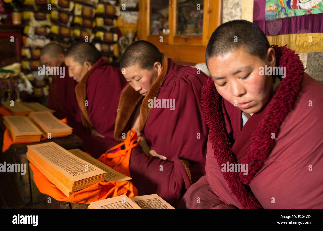 Sanskrit buddhist chant hi-res stock photography and images - Alamy