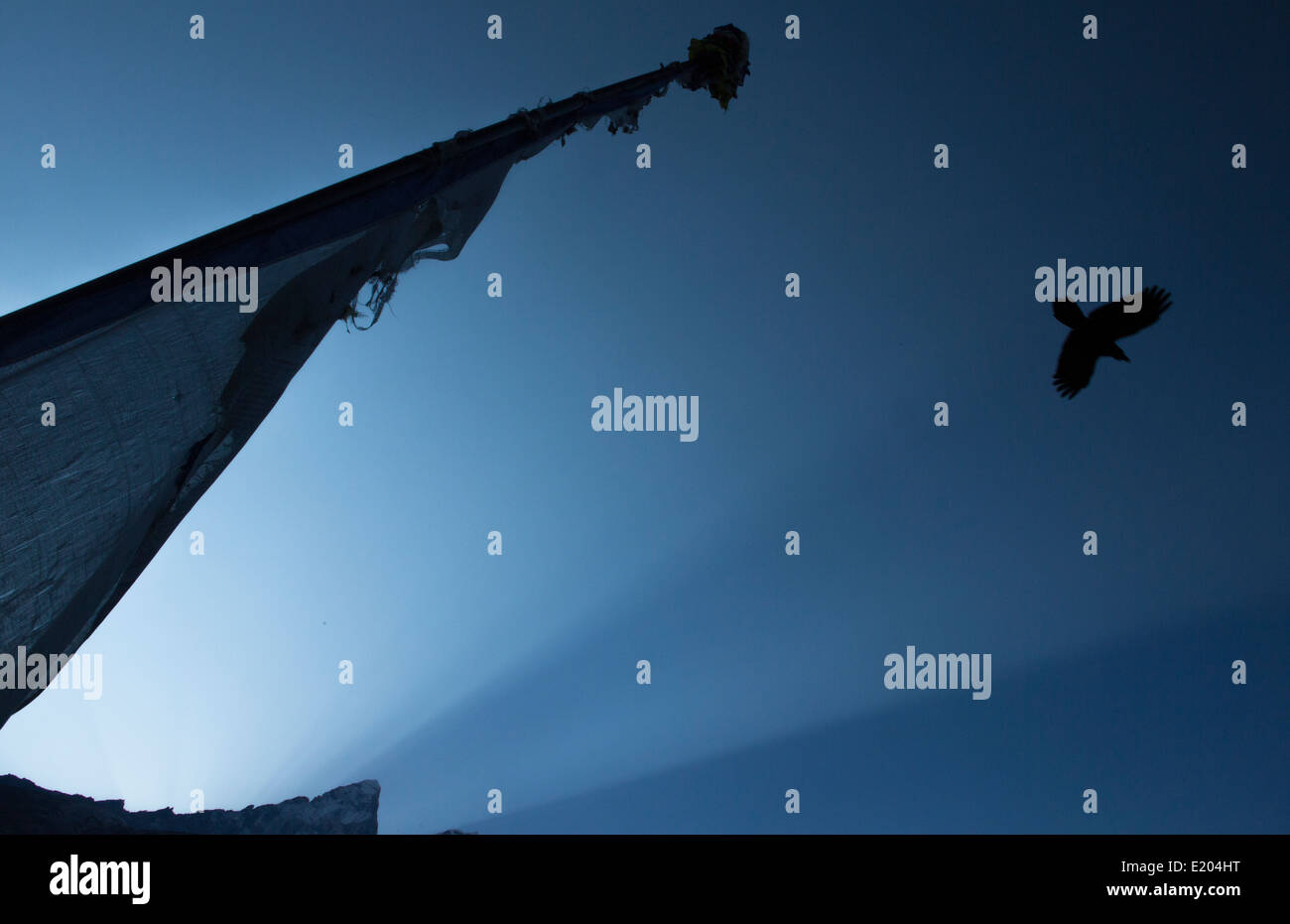 Nepal A prayer flag waving slowly in the early morning with a crow ...