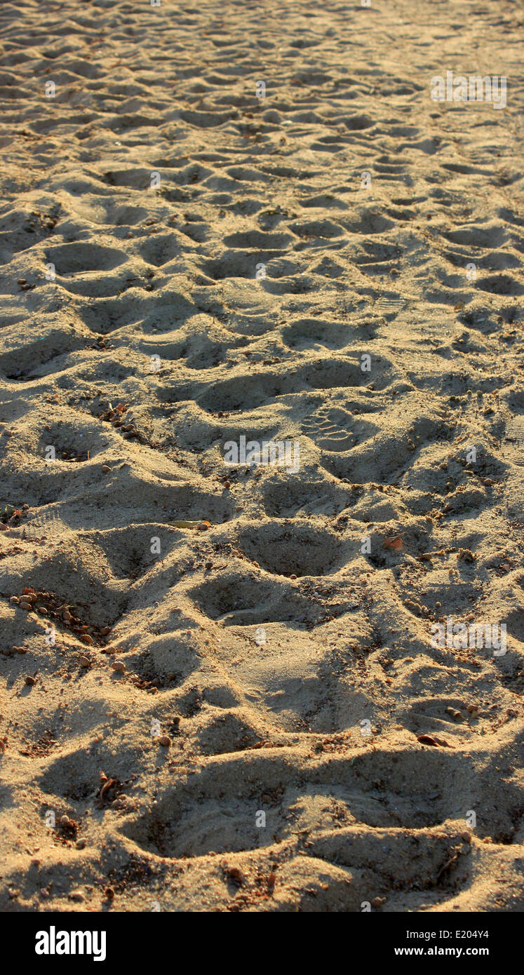 sand dunes on beach Stock Photo - Alamy